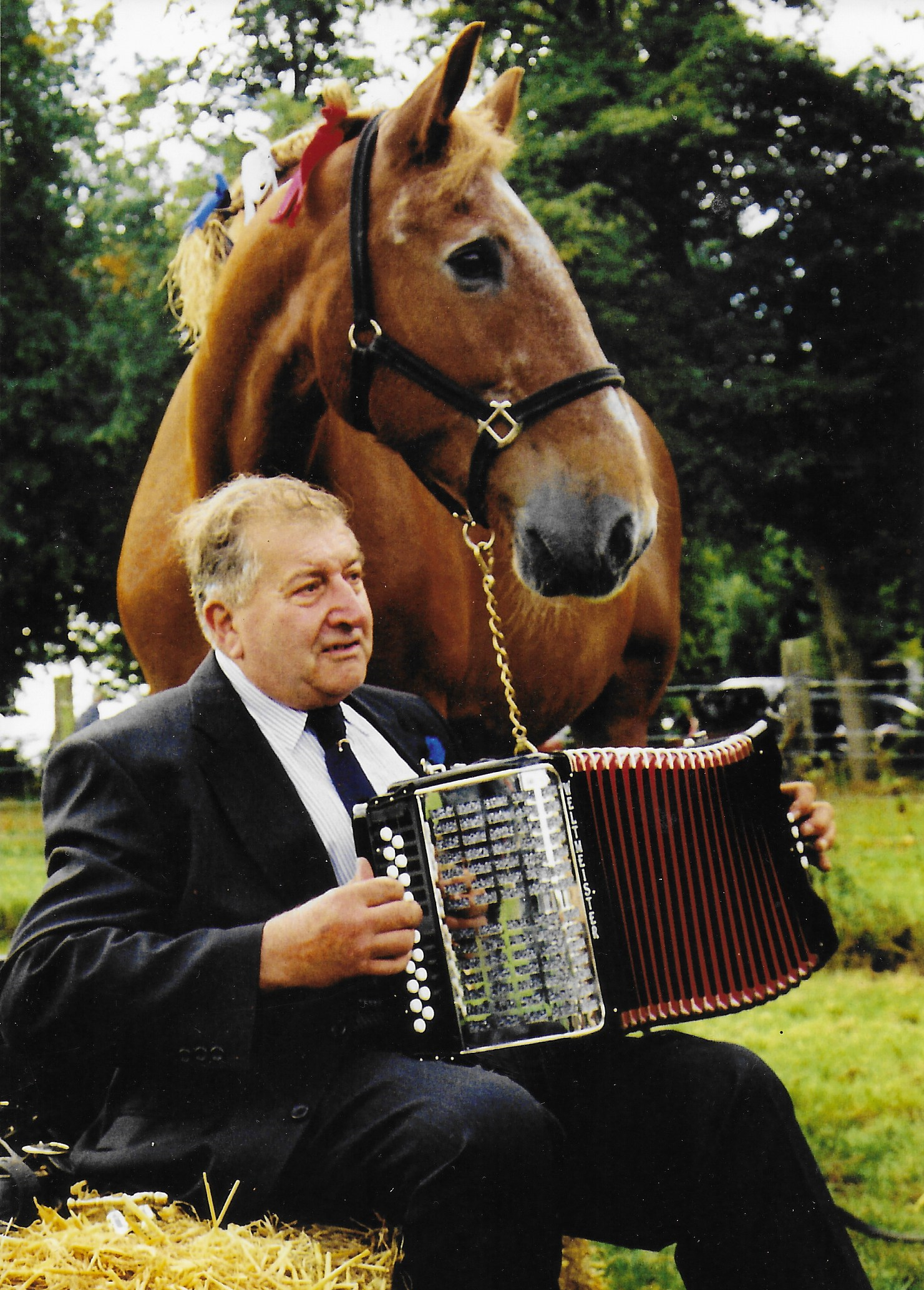 The Suffolk Horse and its History - East Anglian Traditional Music Trust